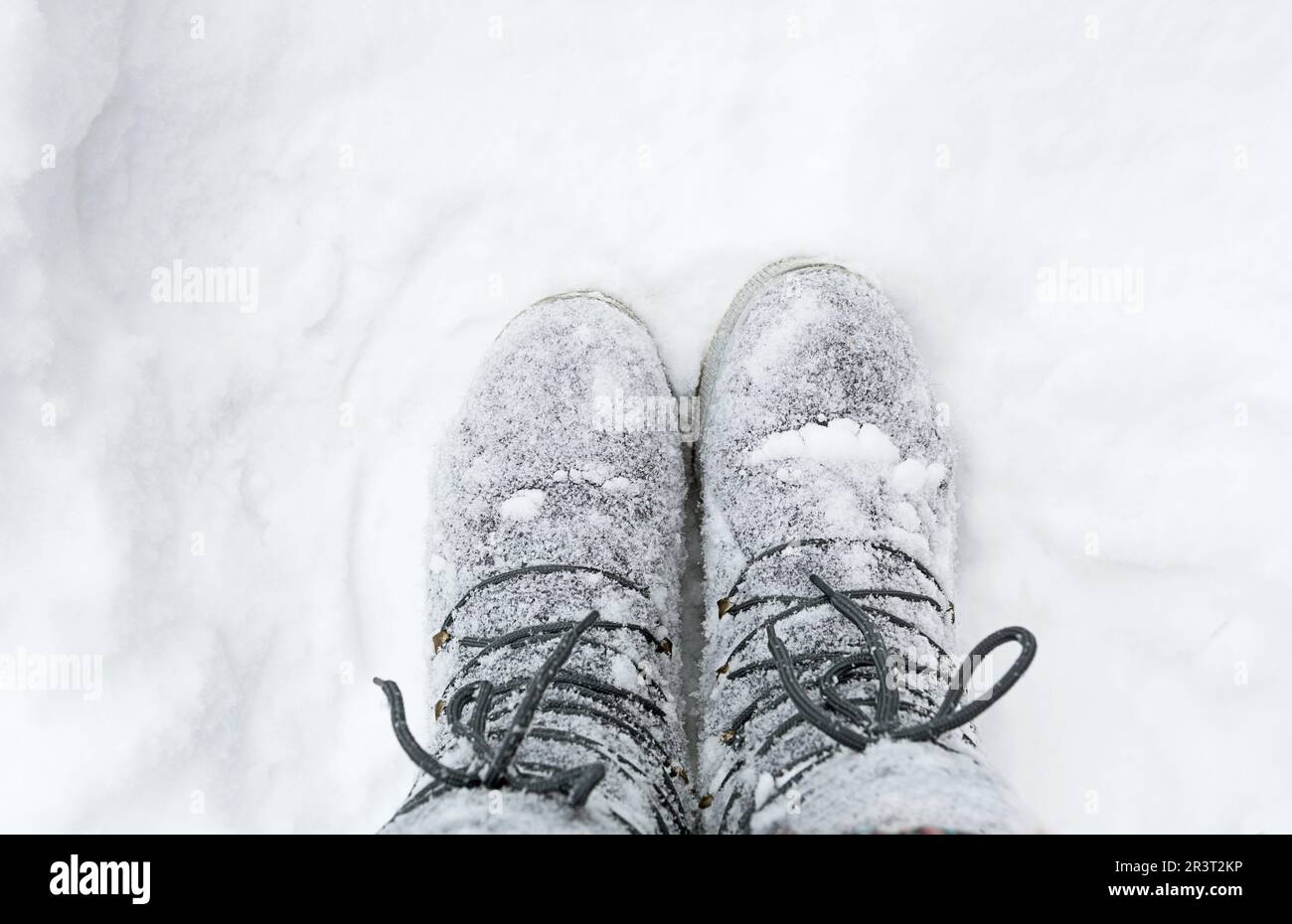 The boots on the laces are covered with snow. Winter, snowfall, cold ...