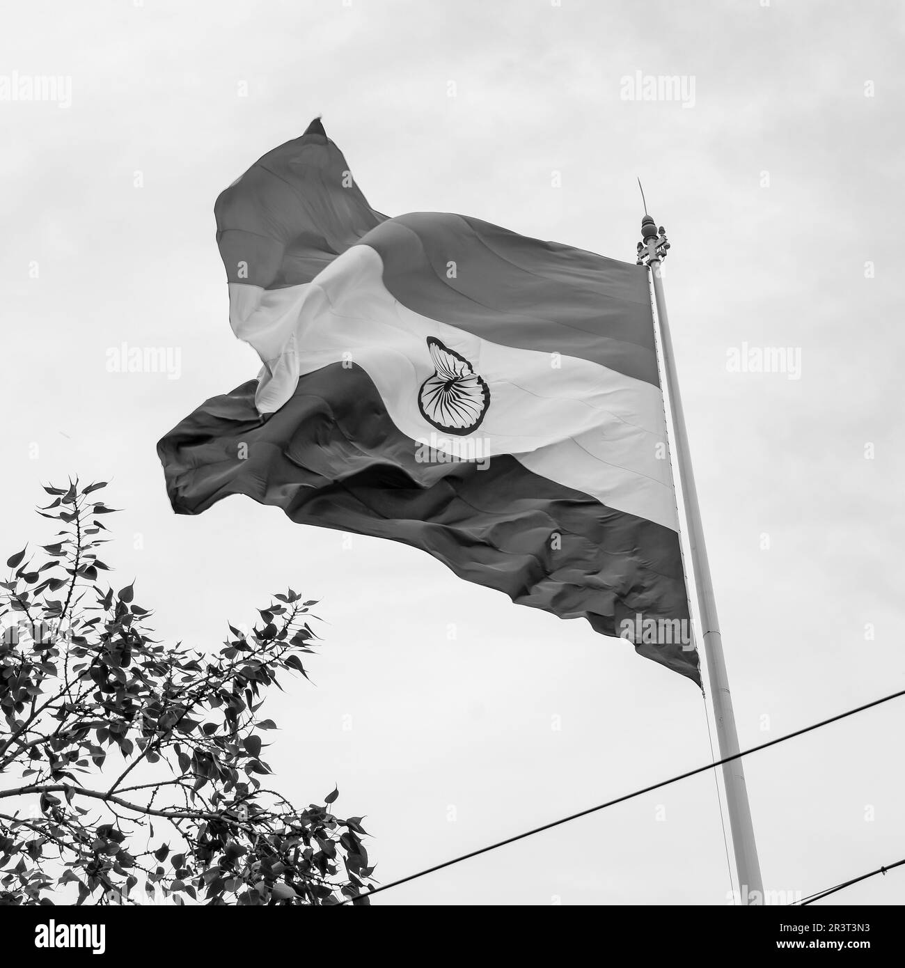 3 Flags Of Oz Three Flags Of Australia Flying High From