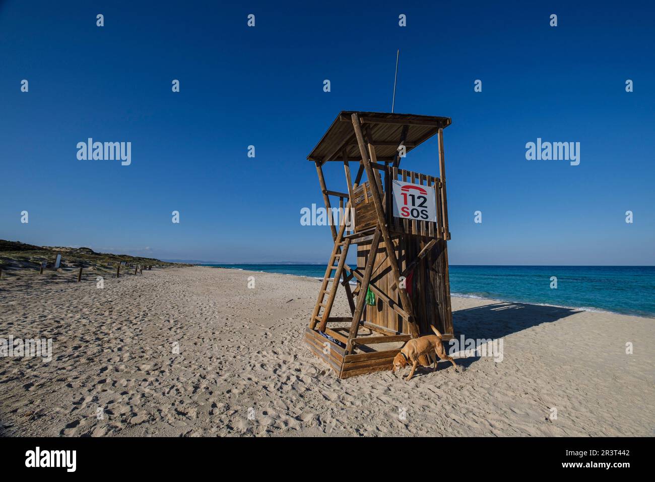 Llevant beach, Formentera, Pitiusas Islands, Balearic Community, Spain ...