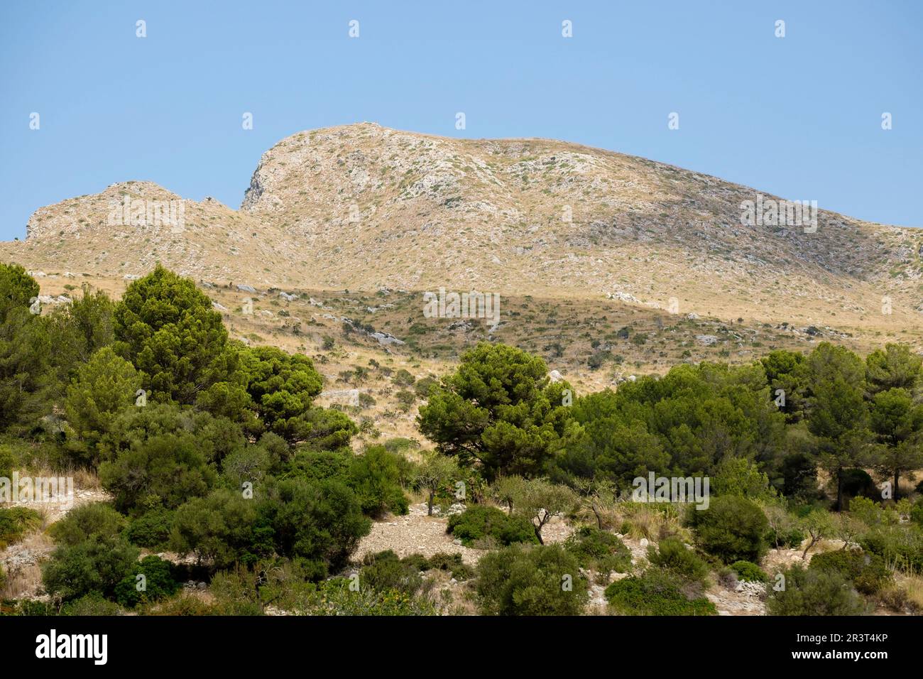 Puig de la Talaia Freda -Puig Morell-, 562m. parque natural de la serra ...