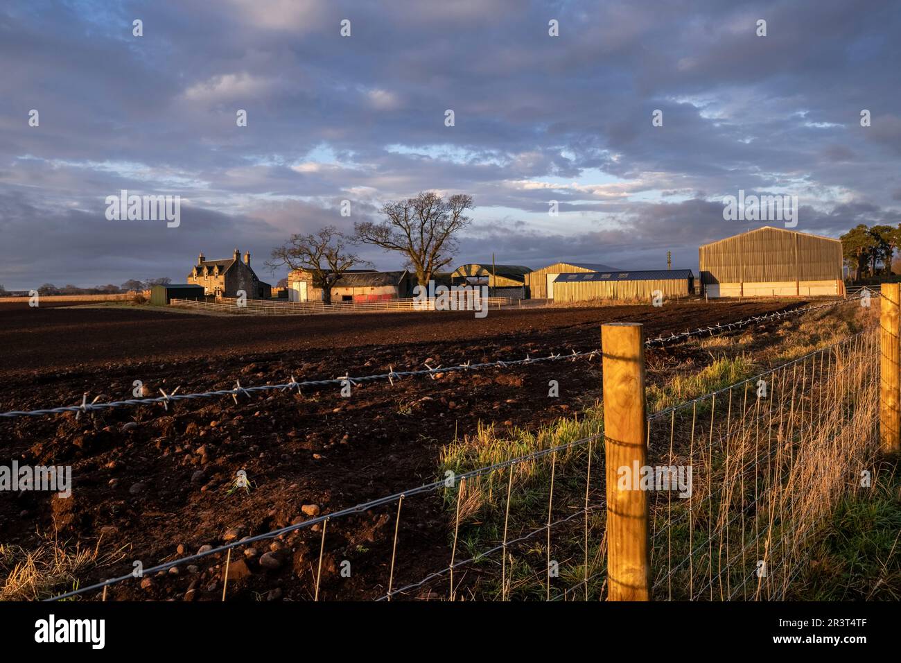 Color primario hi-res stock photography and images - Alamy