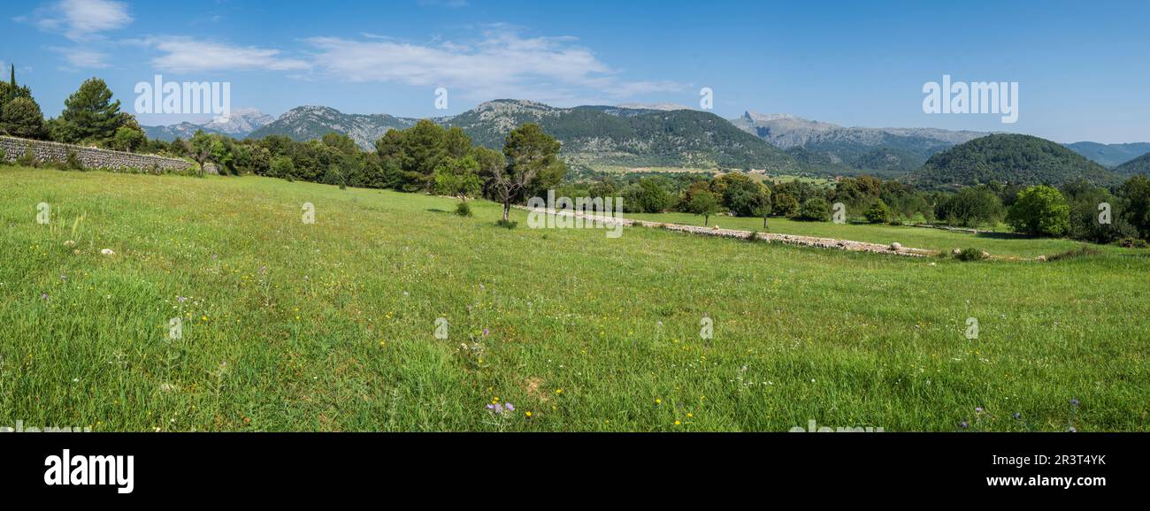 Pared seca hi-res stock photography and images - Alamy