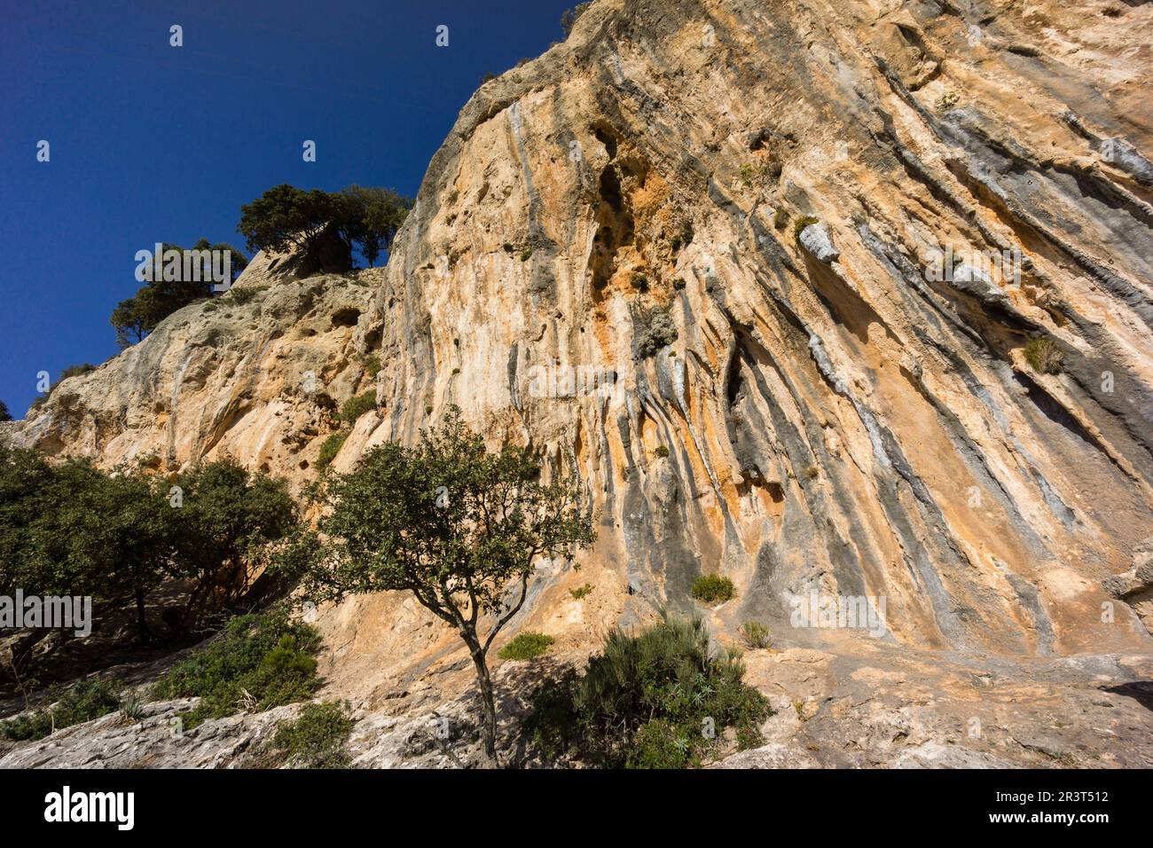 natural walls, Alaro Castle, 14th century, Mallorca, Balearic Islands ...