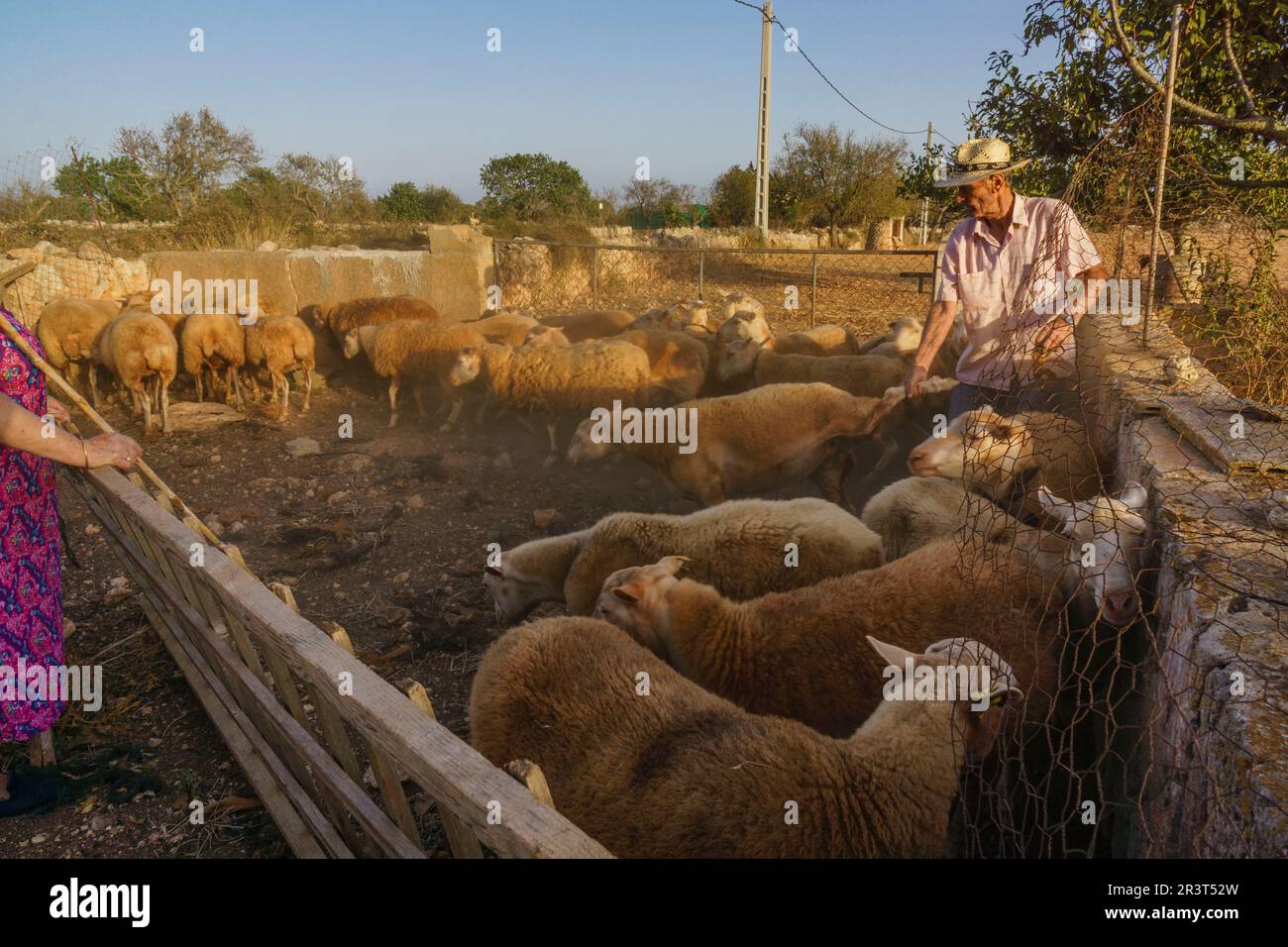 Pastoreo tradicional hi-res stock photography and images - Alamy