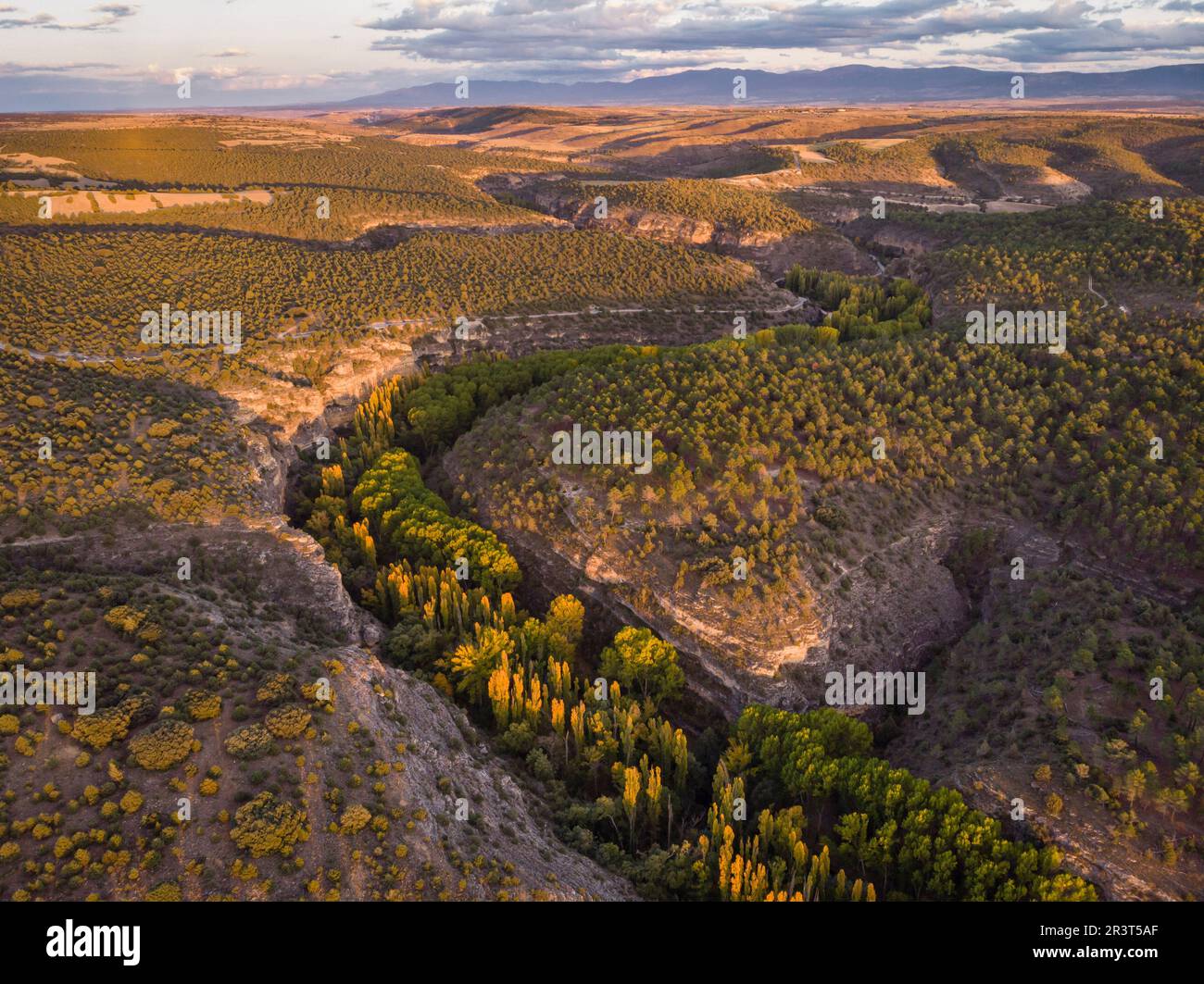 meander, Las Hoces del Río Duratón Natural Park, Segovia province ...