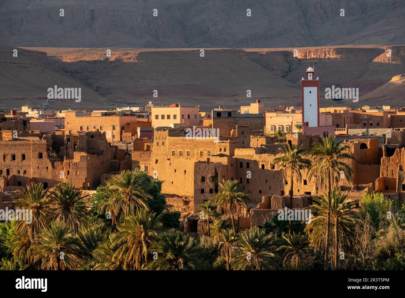 Oasis de tafilalet hi-res stock photography and images - Alamy