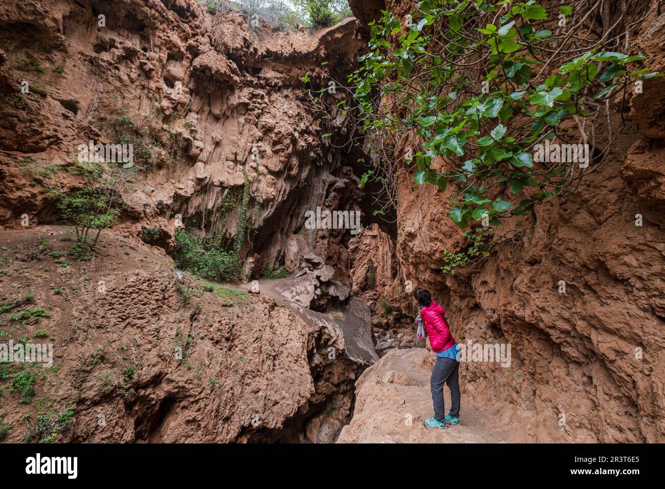 Imi N'Ifri natural bridge, Demnate, Atlas mountain range, morocco ...