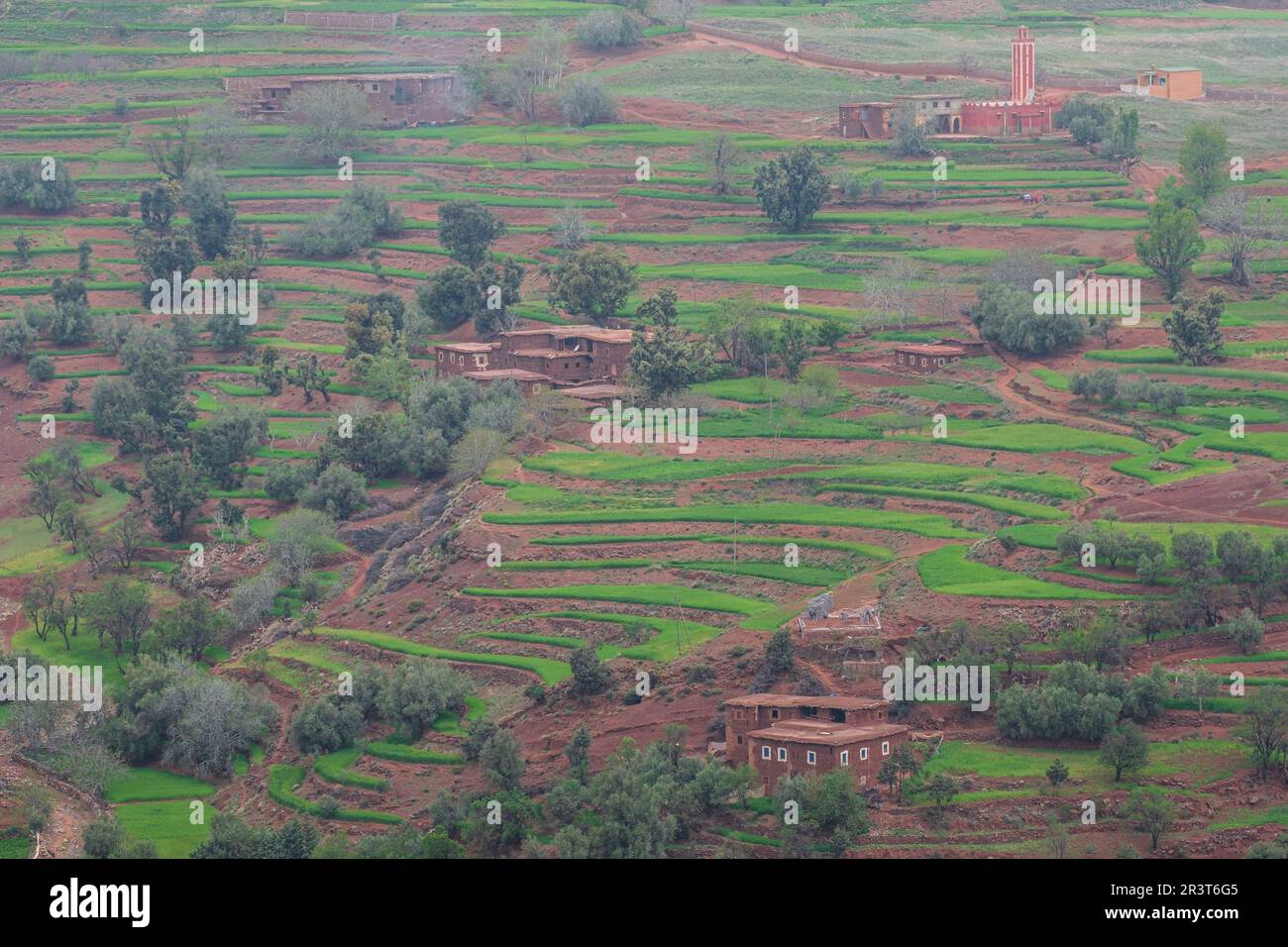 typical agricultural mountain landscape, Ait Blal, azilal province ...