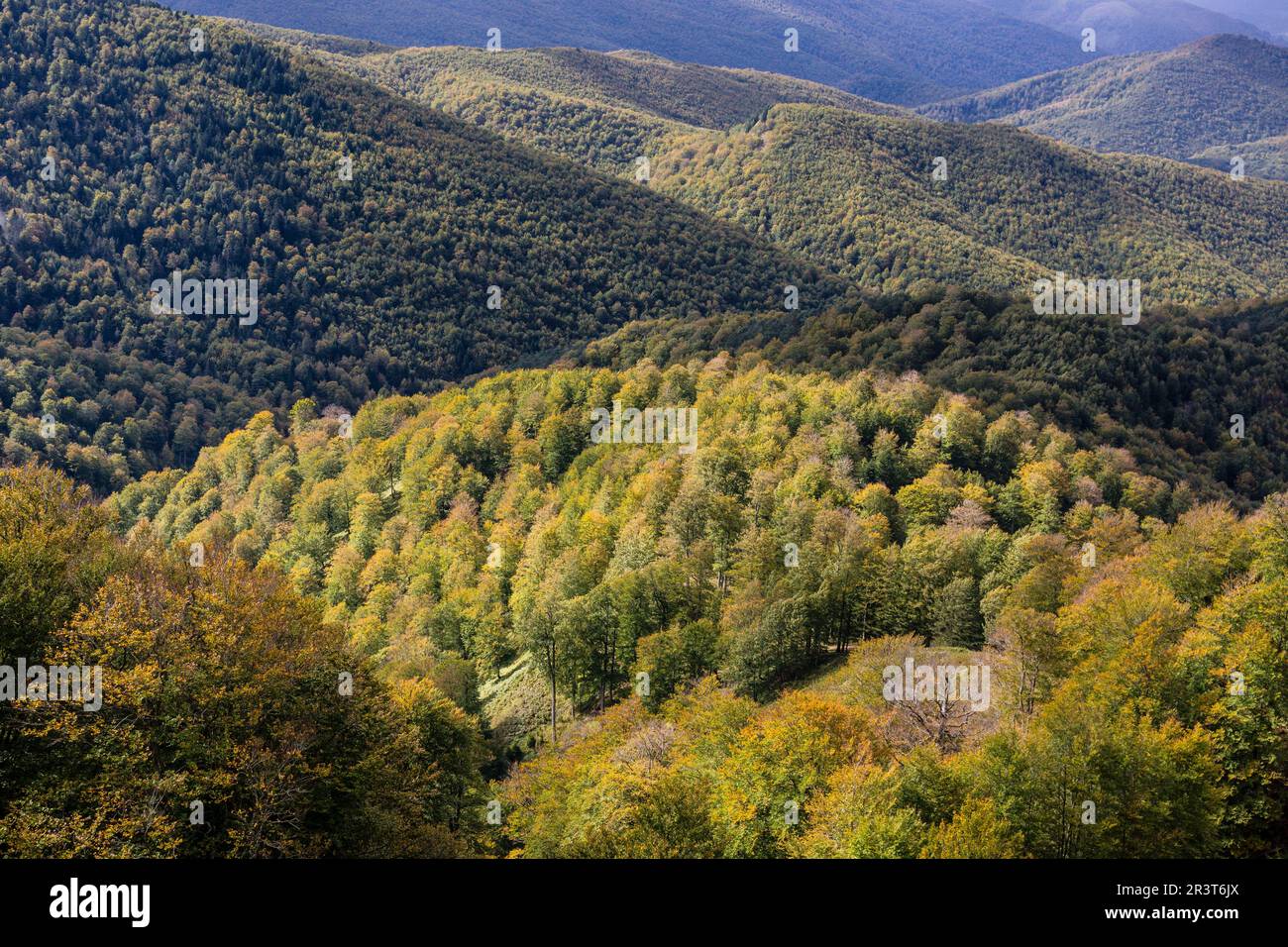 Comunidad integral hi-res stock photography and images - Alamy