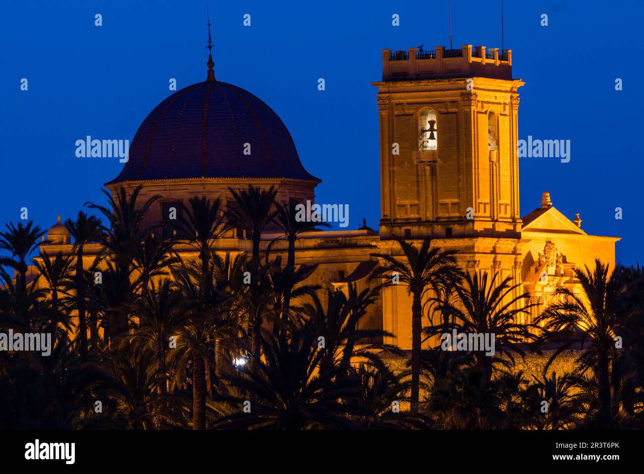Alicante province alicante architecture arecaceae hi-res stock ...