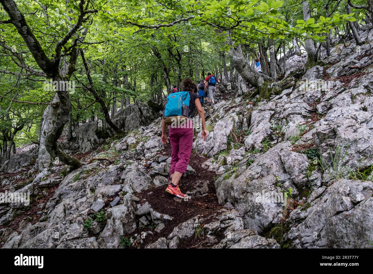 route to mount Amboto, Alava, basque country, spain Stock Photo - Alamy