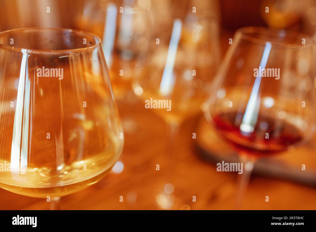 Glass goblets placed in rows on table during wine tasting procedure in ...