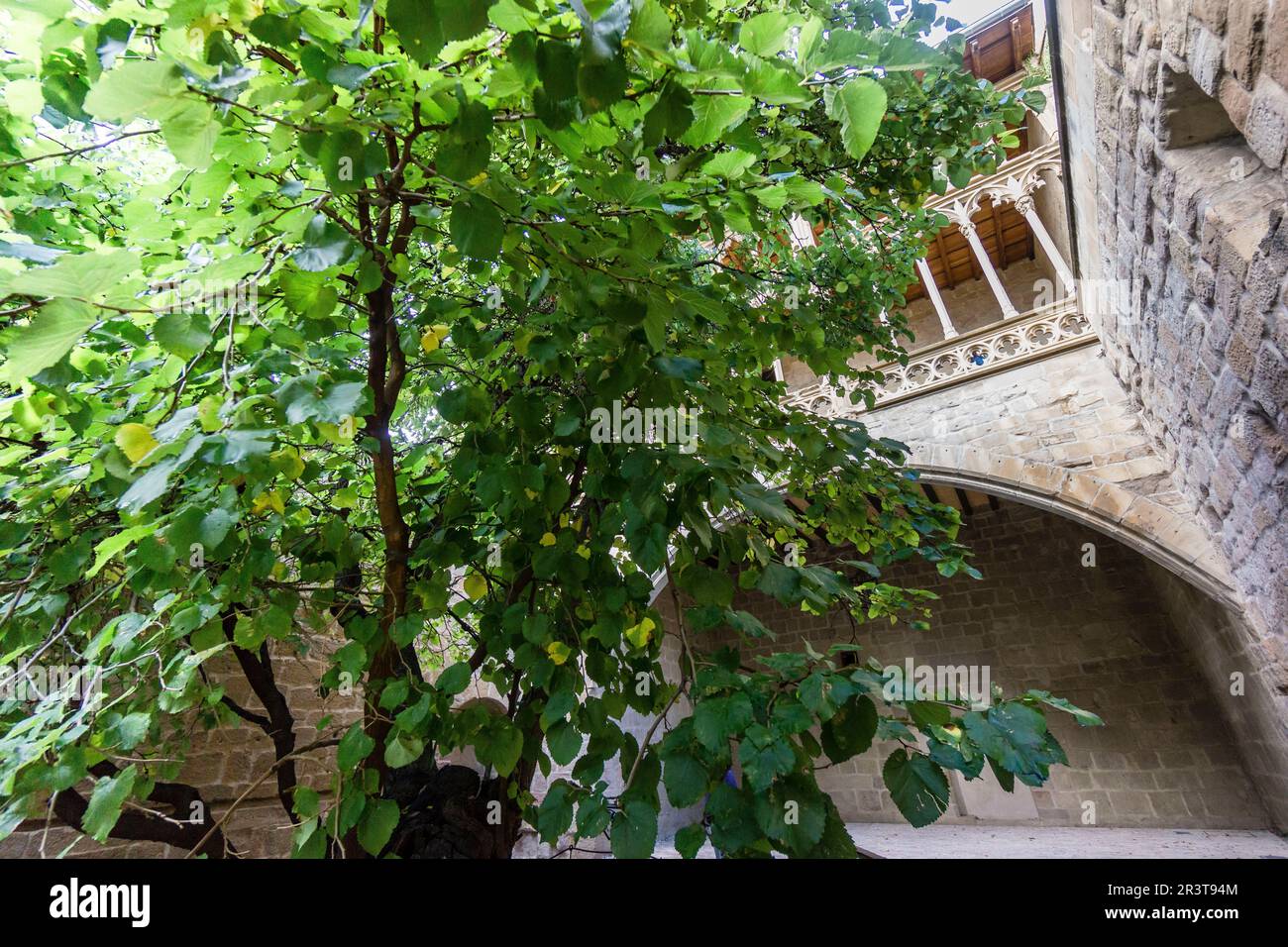 Arbol monumento natural hi-res stock photography and images - Alamy