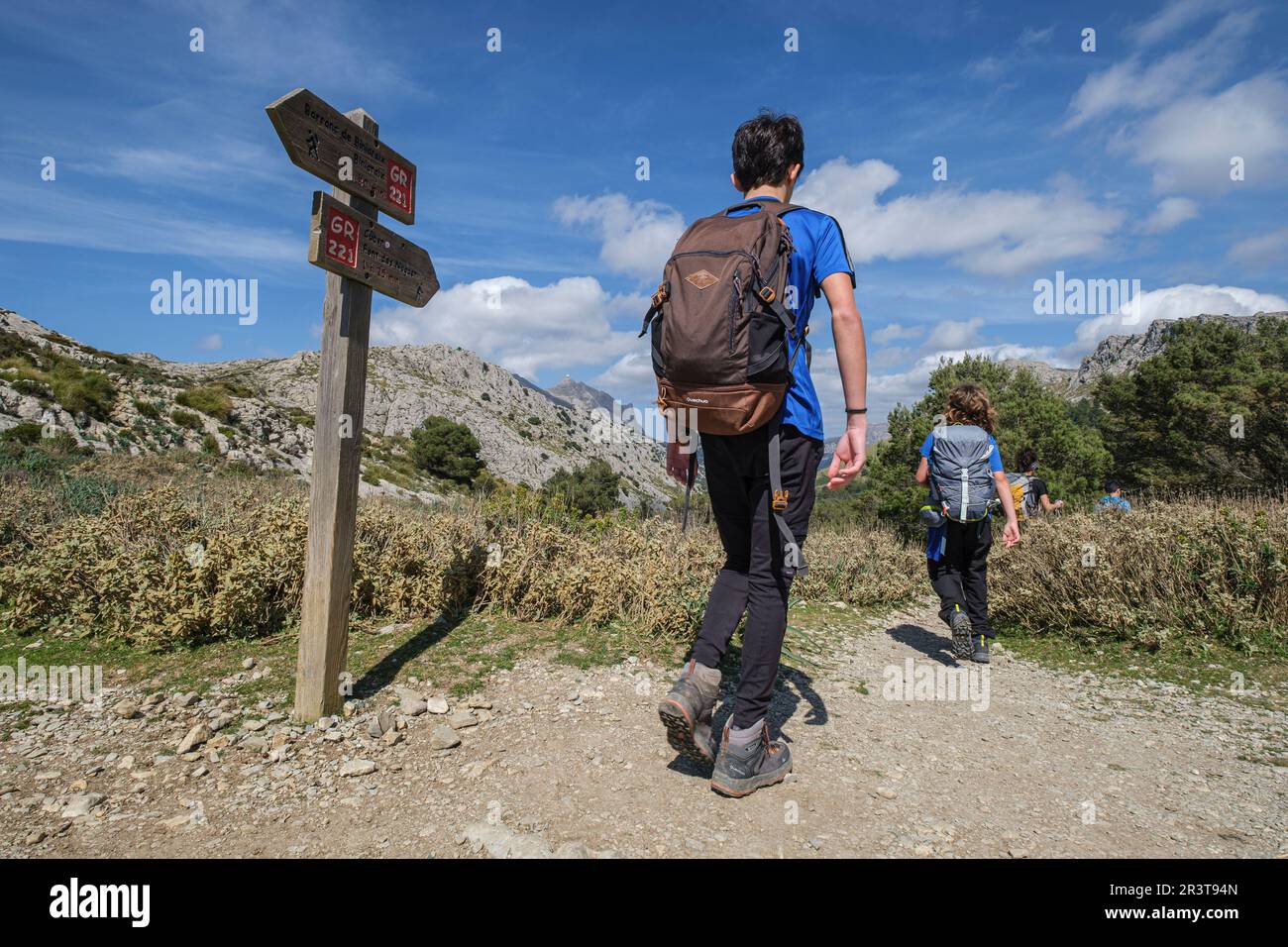 dry stone path GR221, Binimorat valley, Three Thousand Route, (Tres ...