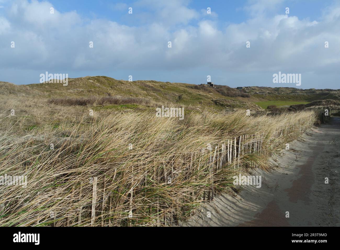 Dune landscape, Norderney island Stock Photo - Alamy