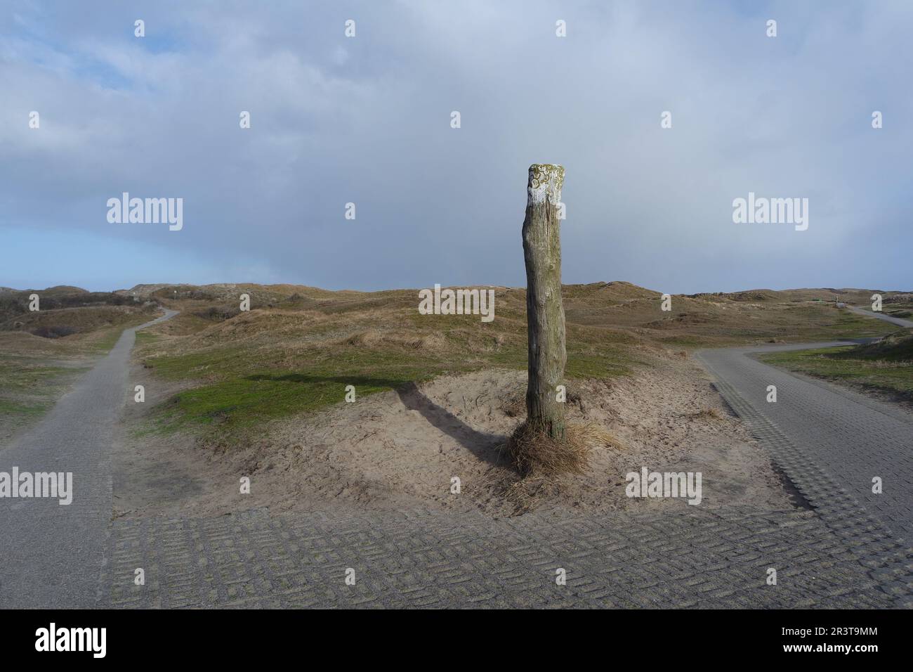 Paths through the dune landscape, Norderney Stock Photo - Alamy