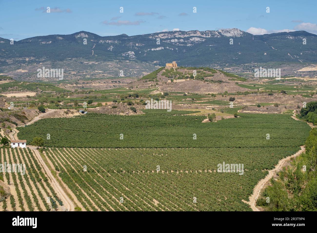 Planta de la industria hi-res stock photography and images - Alamy