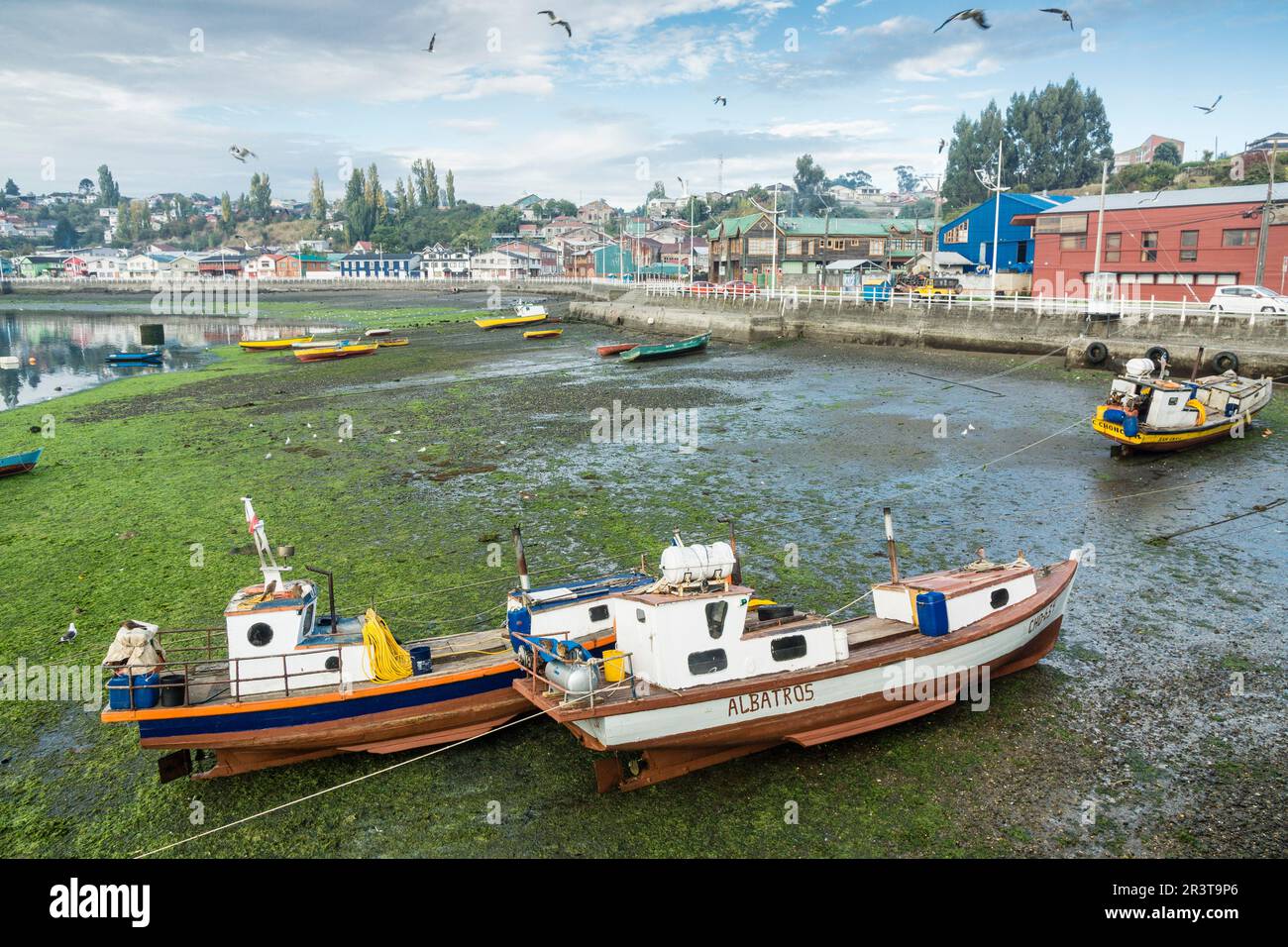 Chonchi, archipiélago de Chiloé ,provincia de Chiloé ,región de Los ...