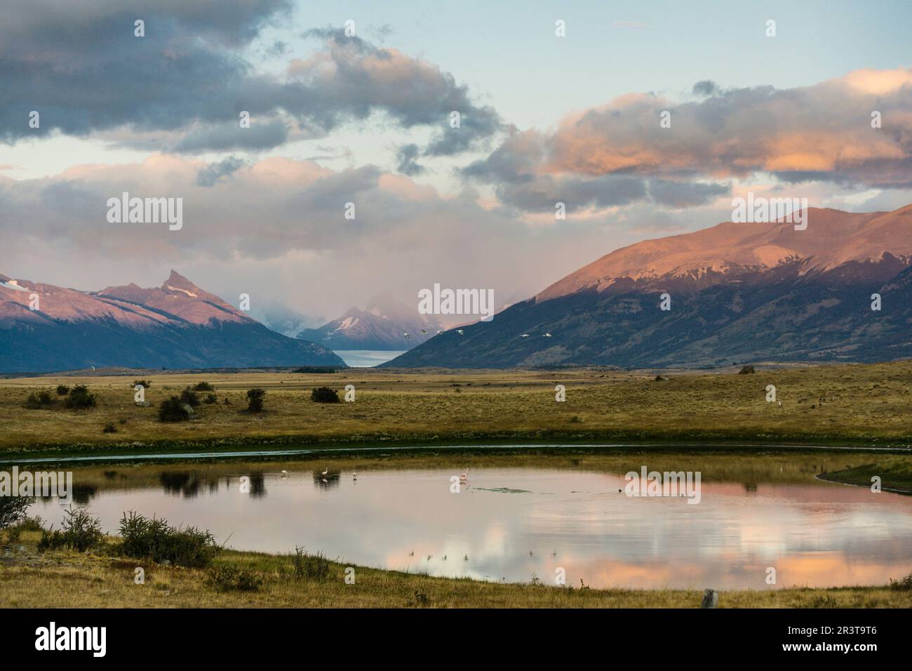 pampa cerca del Lago Roca, El Calafate ,Parque Nacional Los Glaciares ...