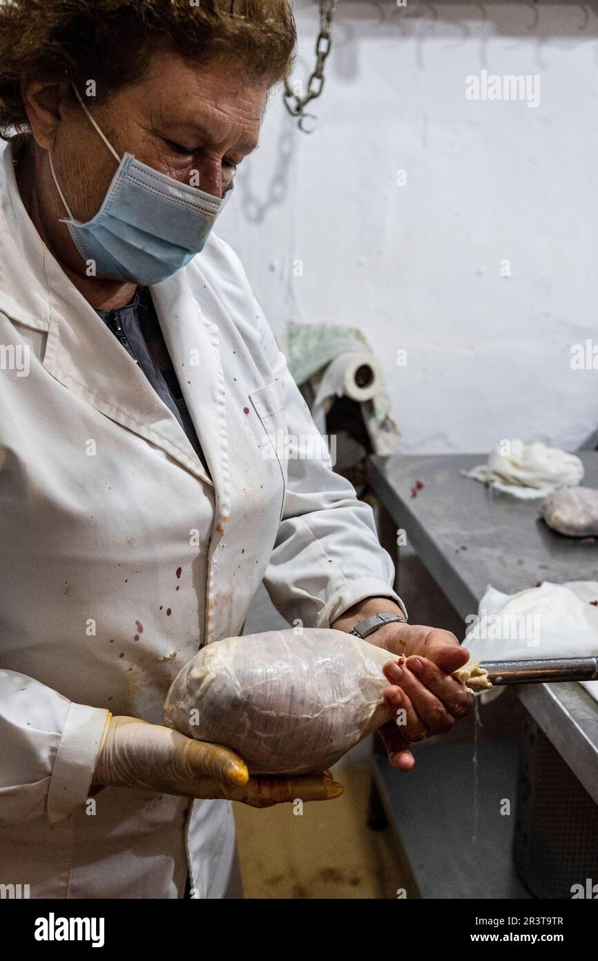 traditional slaughter of the Mallorcan black pig, Mallorca, Balearic ...