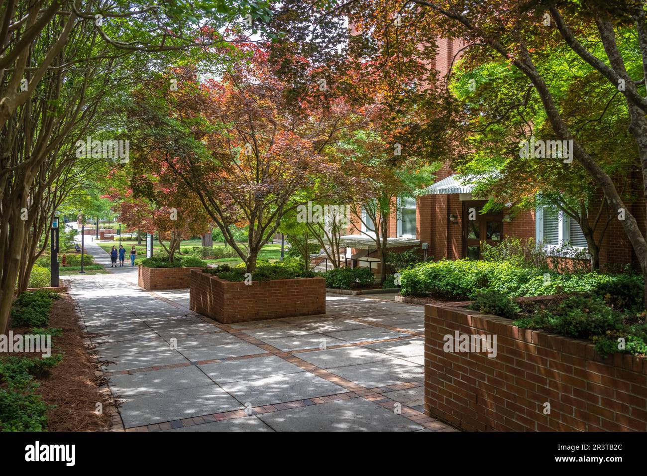 Atkinson hall hi-res stock photography and images - Alamy