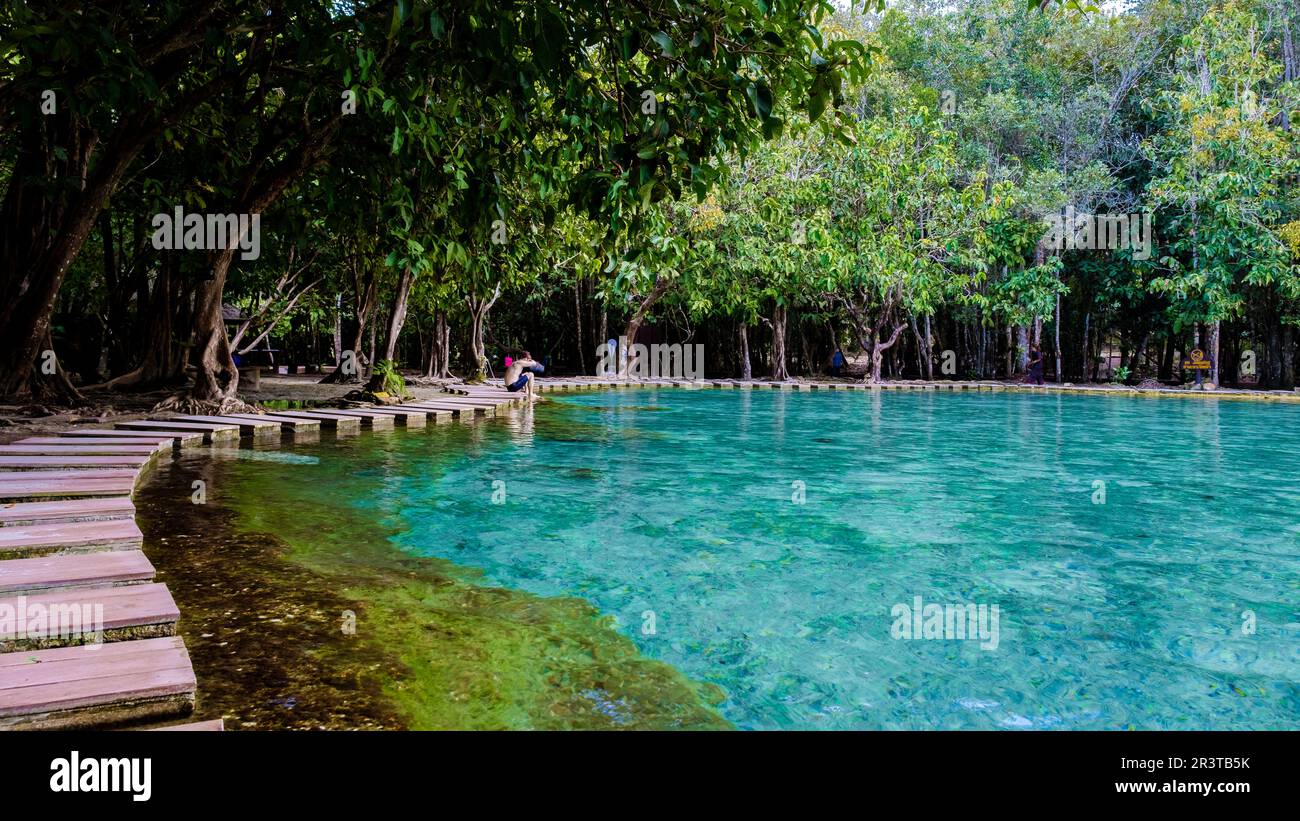 Emerald pool and Blue pool in Krabi Thailand, tropical lagoon in ...