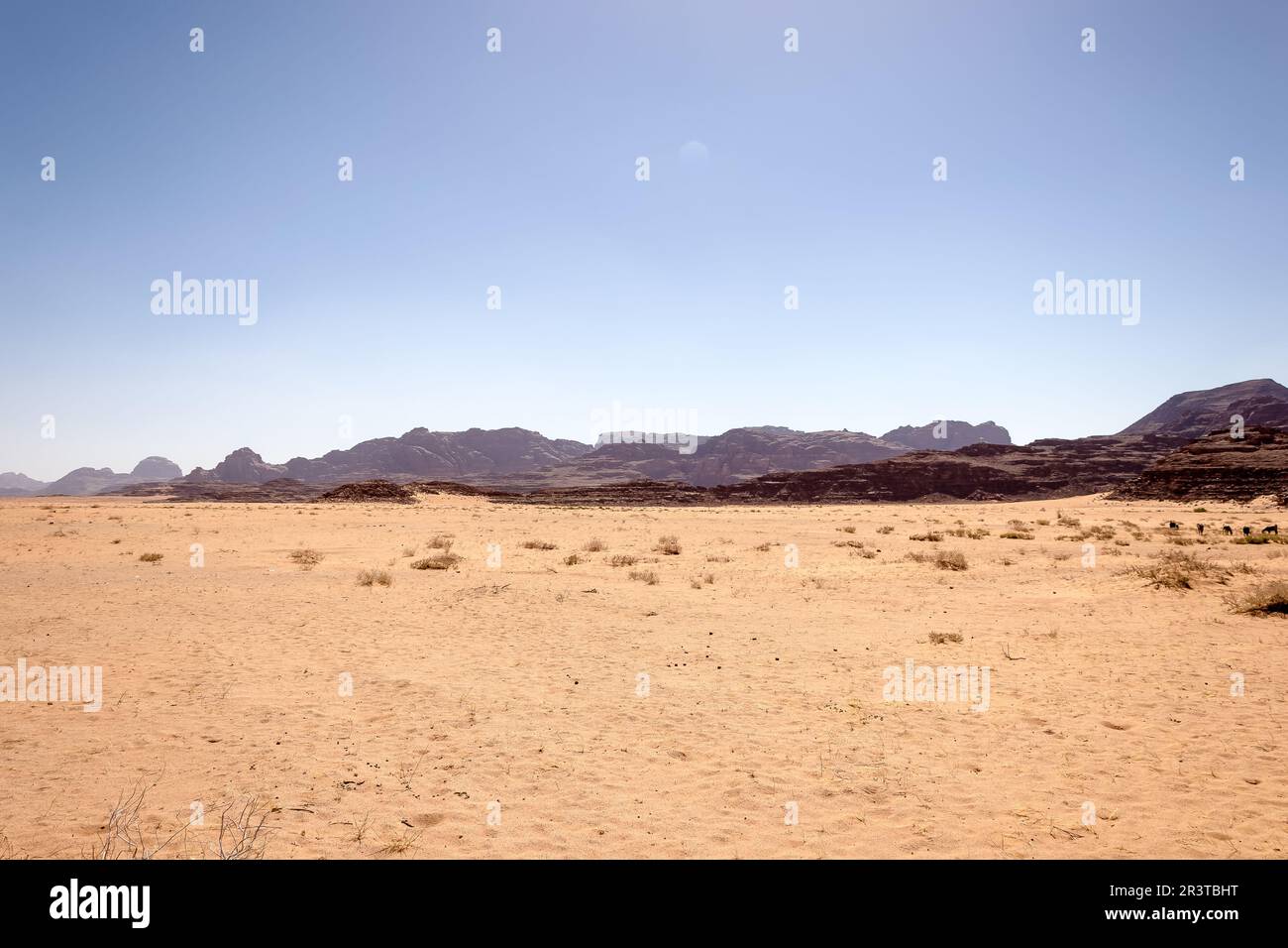 Wadi Rum (Valley of the Moon) in southern Jordan is a UNESCO World ...