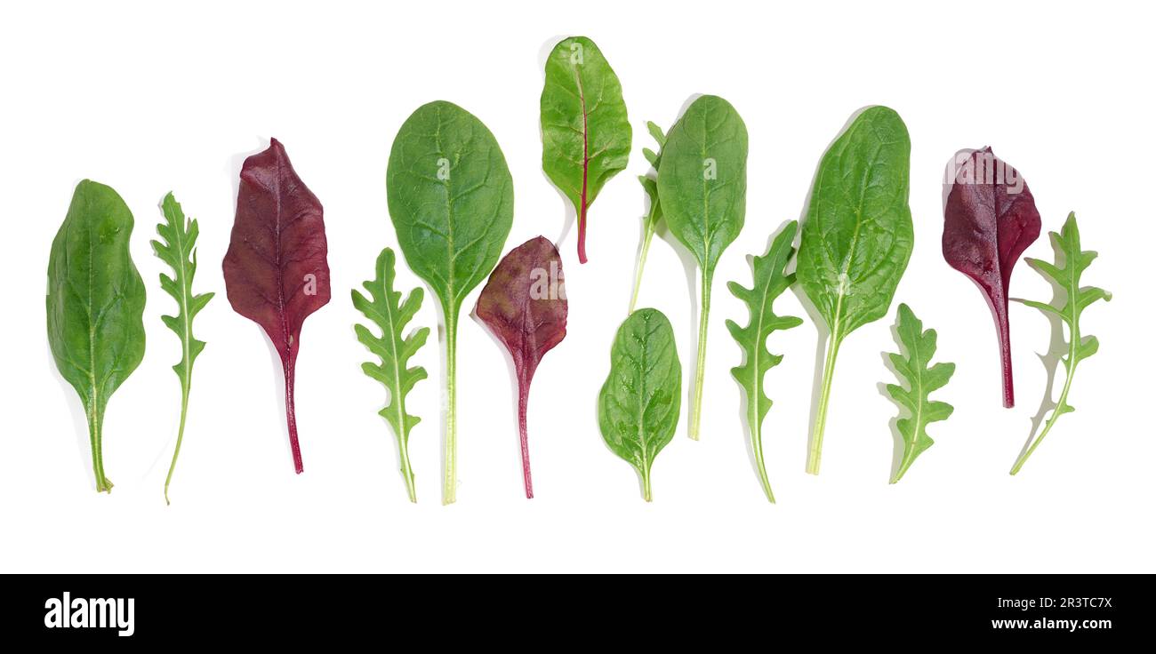 Fresh green leaves of arugula, spinach, chard on a white isolated ...