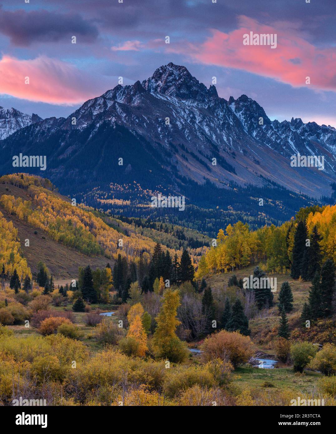Dawn, Aspen, Willow Swamp, Mount Sneffels, Dallas Divide, Uncompahgre ...