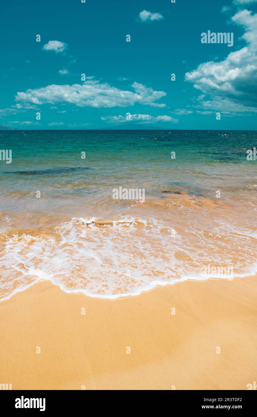 Calm sea beach background. Summer tropical beach with sand. Ocean water ...