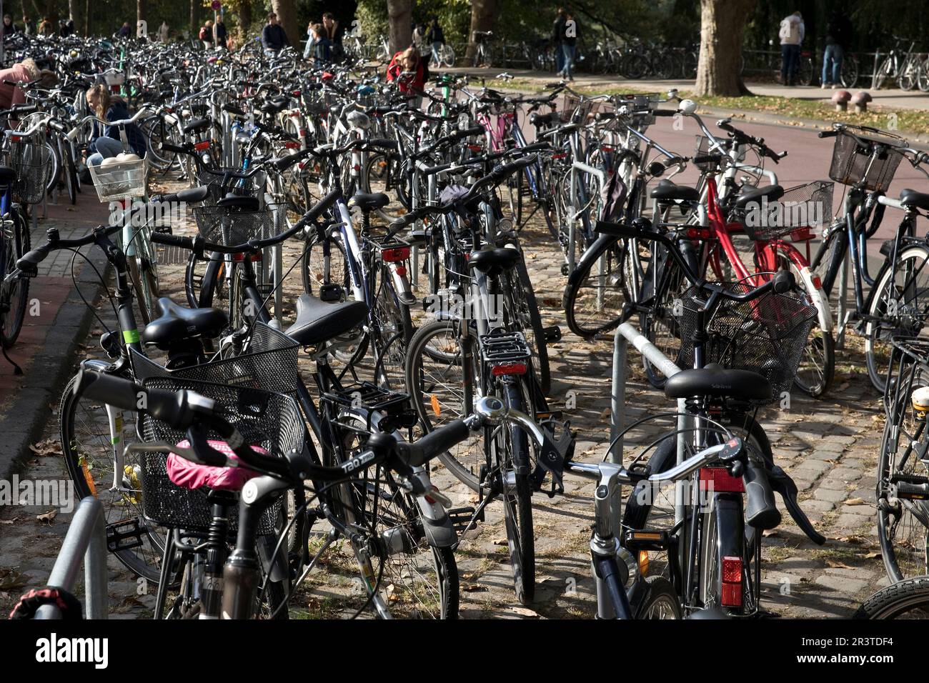 Mensa am aasee hi-res stock photography and images - Alamy