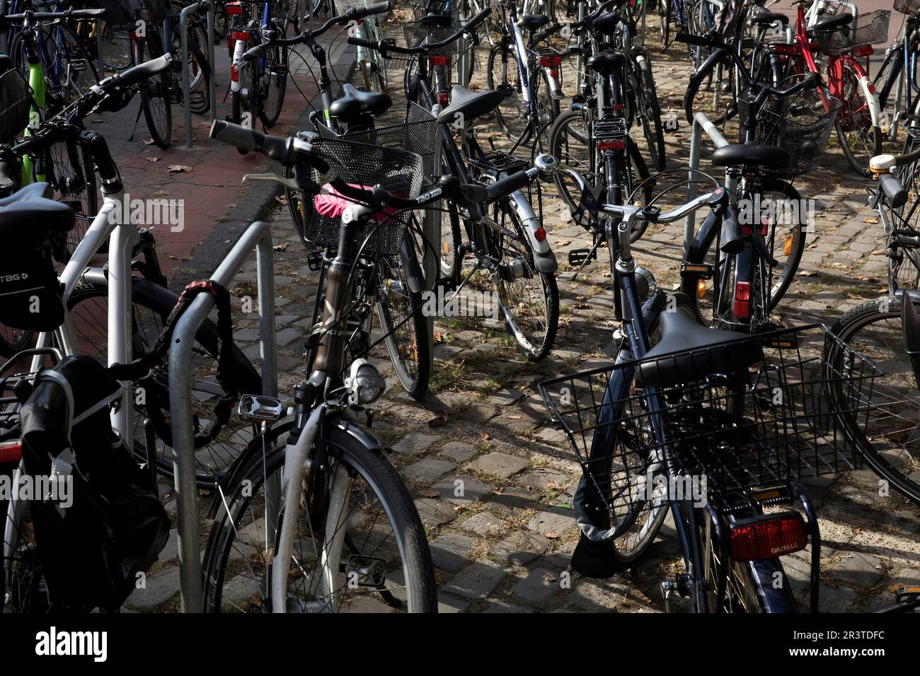 Mensa am aasee hi-res stock photography and images - Alamy