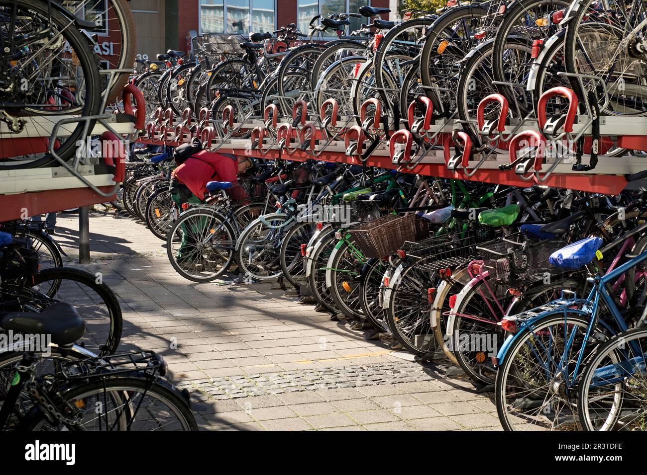 Very many bicycles at the parking spaces of the bike station, Muenster ...