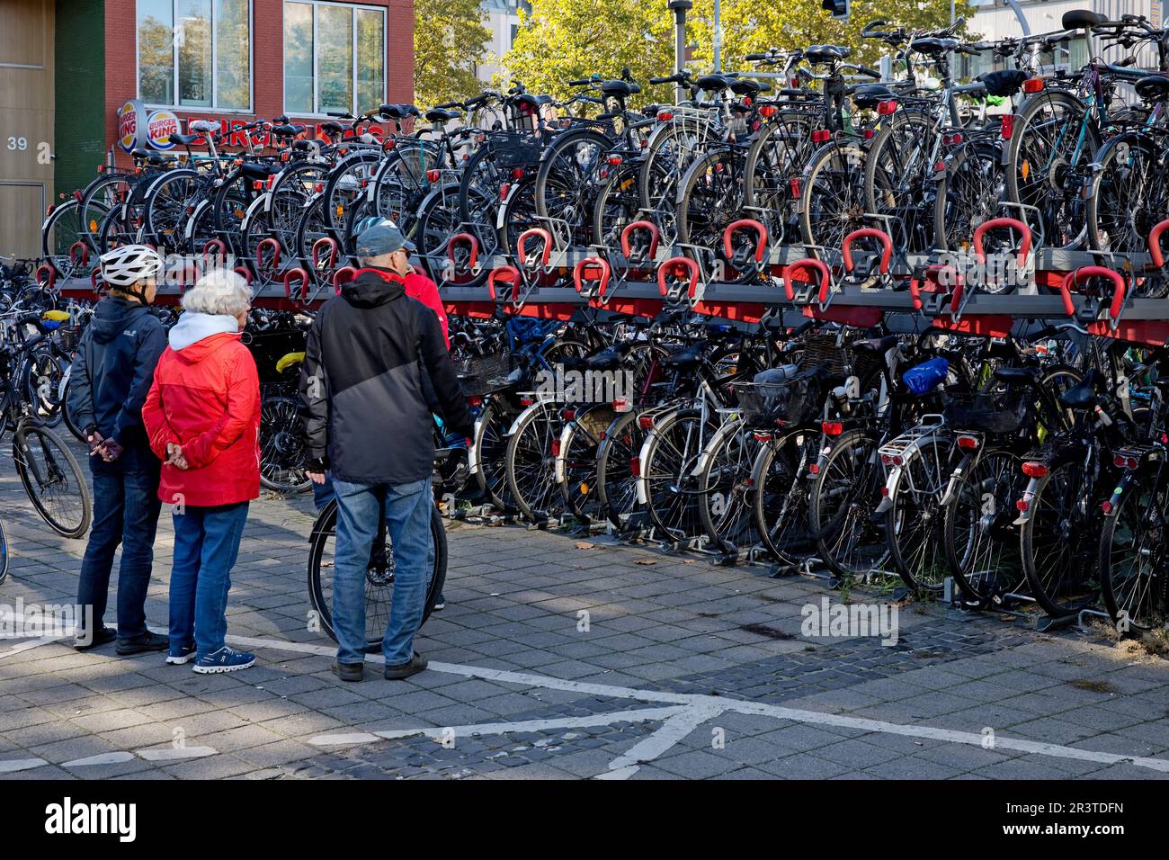 Very many bicycles at the parking spaces of the bike station, Muenster ...