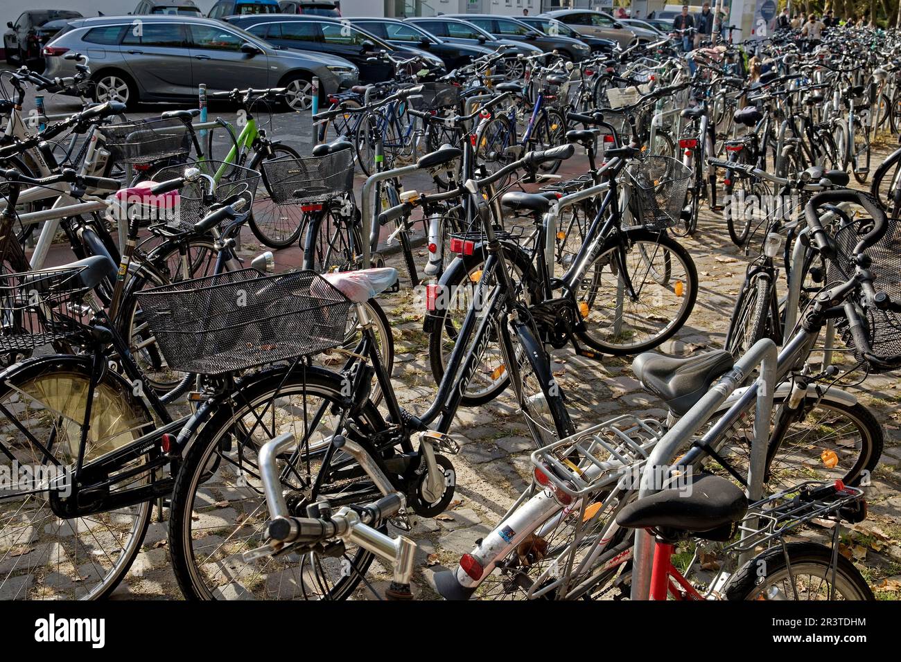 Very many bicycles at the Mensa am Aasee, bicycle capital, Muenster ...