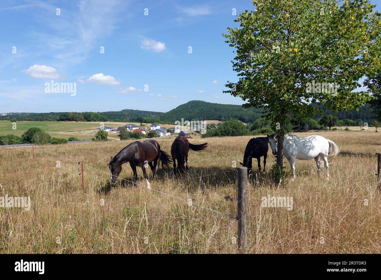 Kelberg landscape hi-res stock photography and images - Alamy