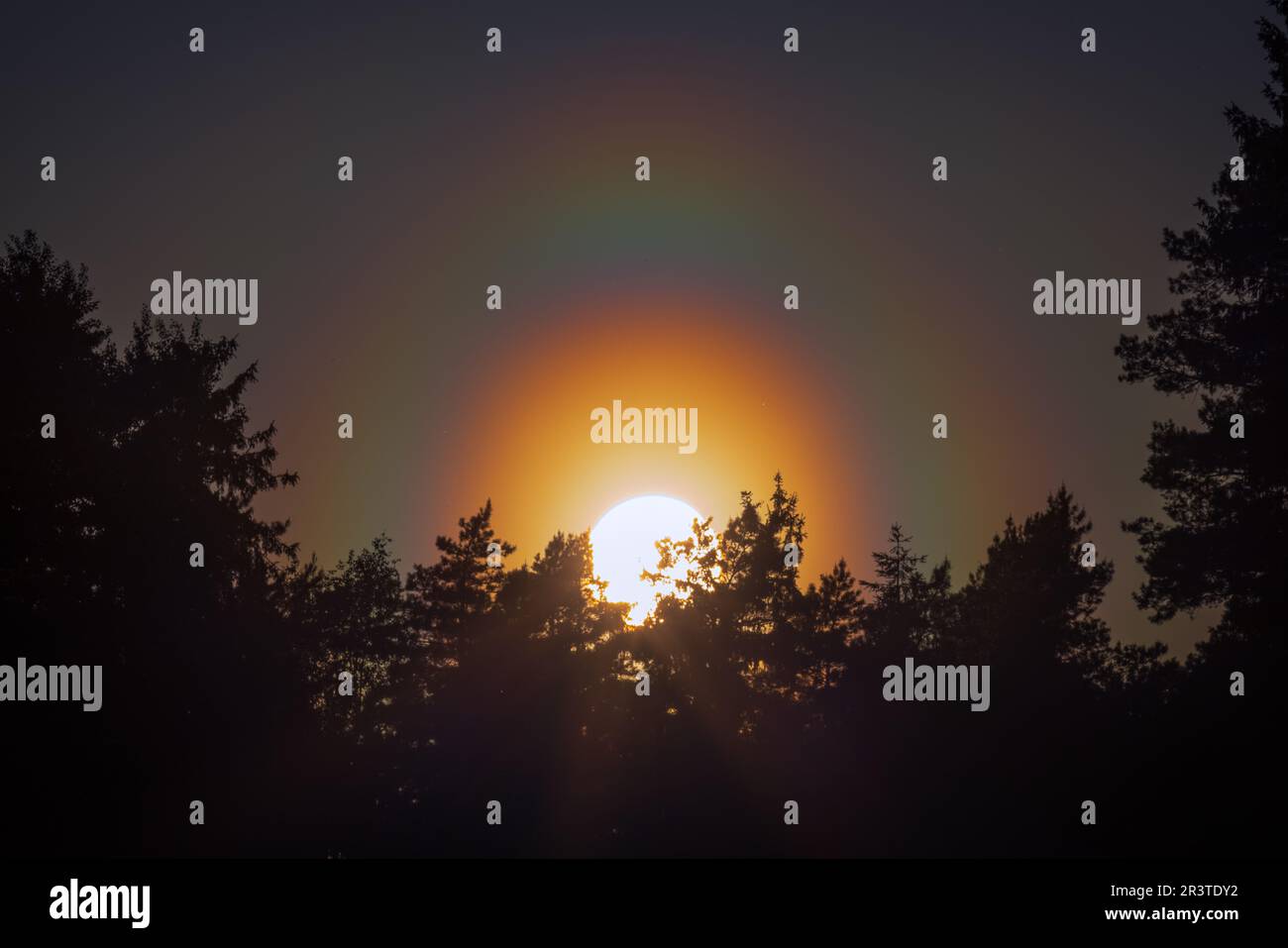 Colorful pollen corona glowing around the sun before the sunset ...