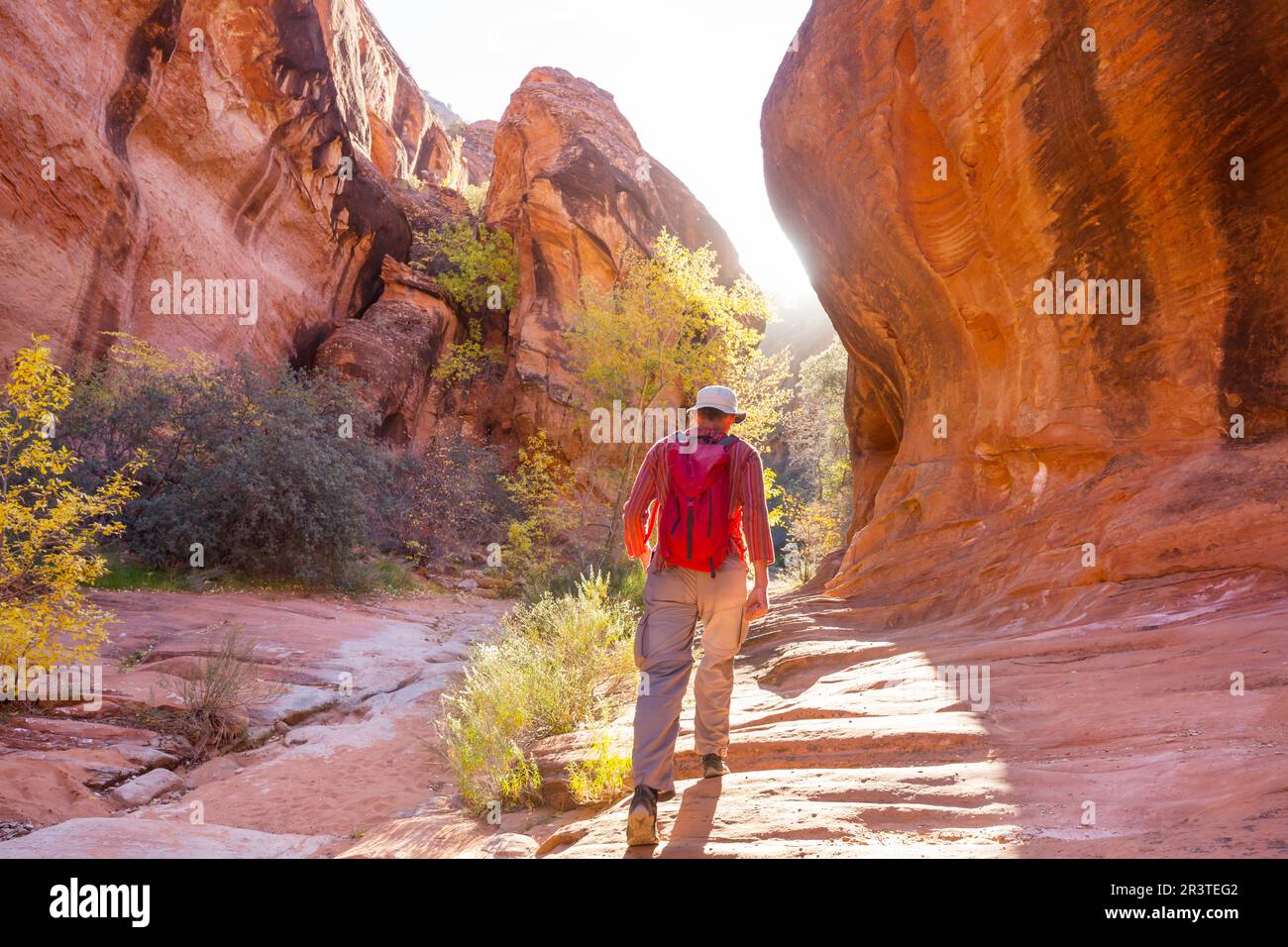 Hike in Utah Stock Photo - Alamy
