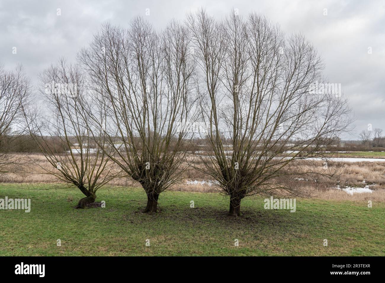 Wendland region hi-res stock photography and images - Alamy