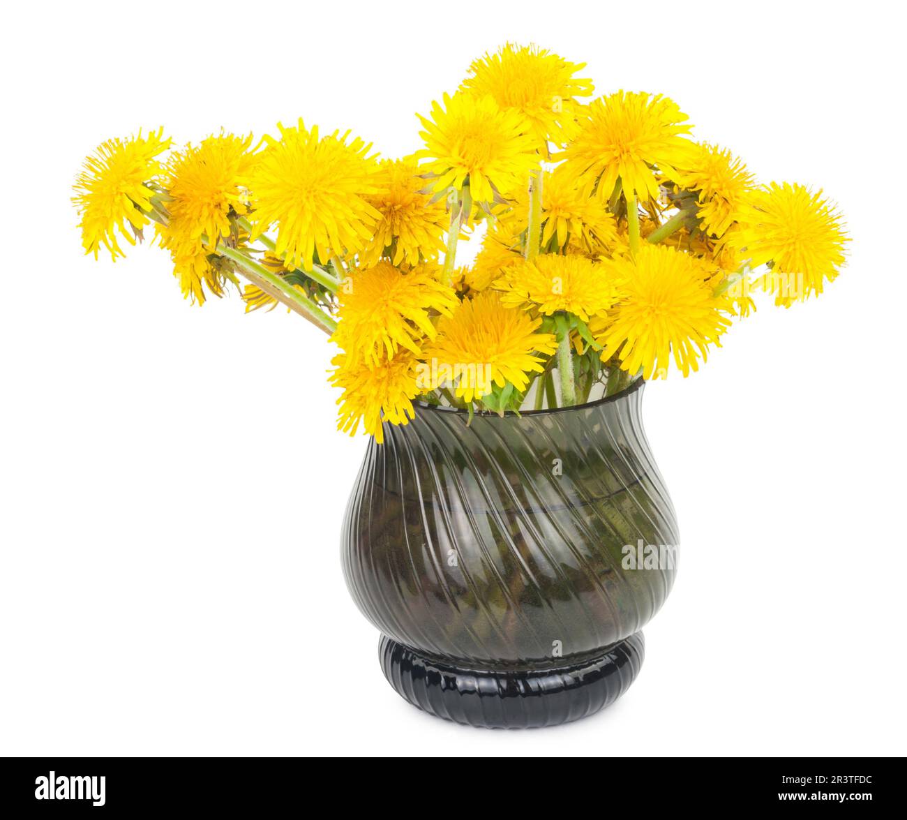 Dandelion field Cut Out Stock Images & Pictures - Alamy
