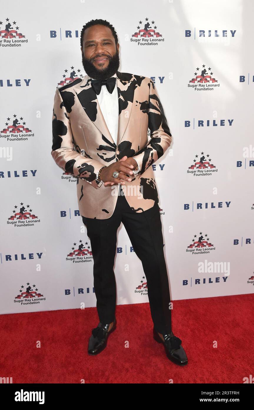 Anthony Anderson arrives at the 12th annual Sugar Ray Leonard ...