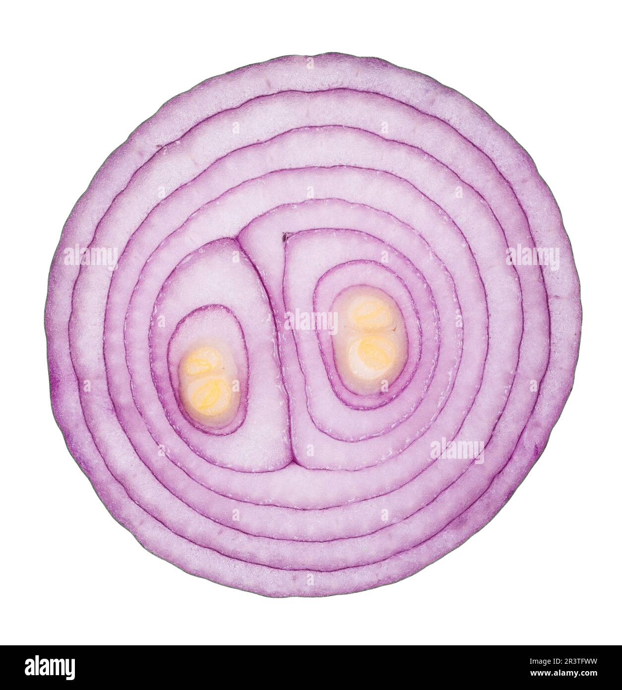 Cross section of an onion Cut Out Stock Images & Pictures - Alamy