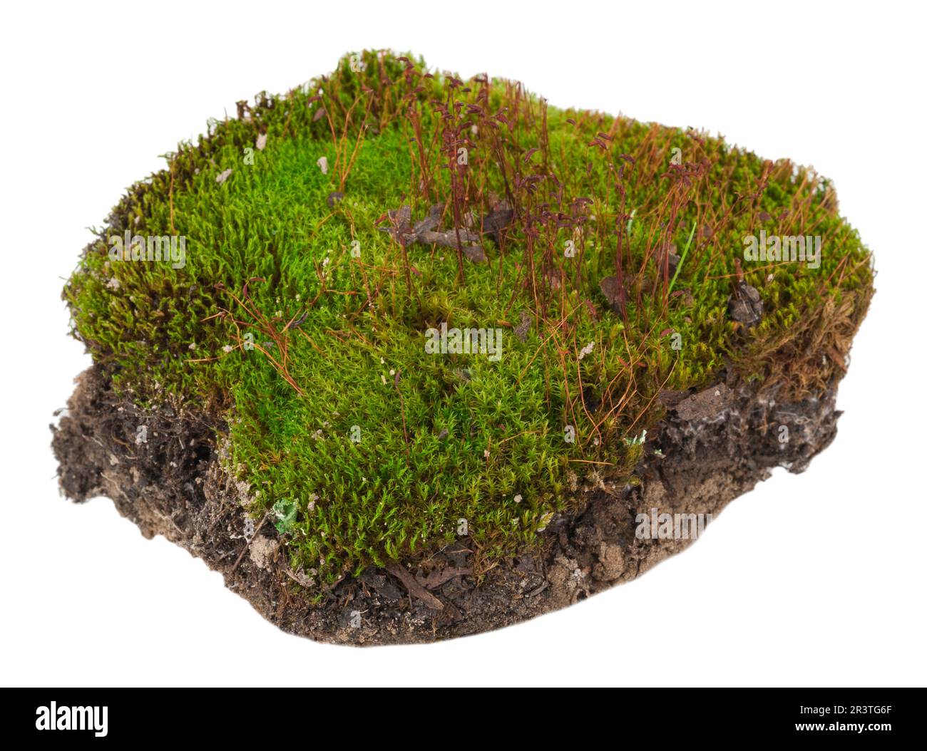 commune Cut Out Stock Images & Pictures - Alamy