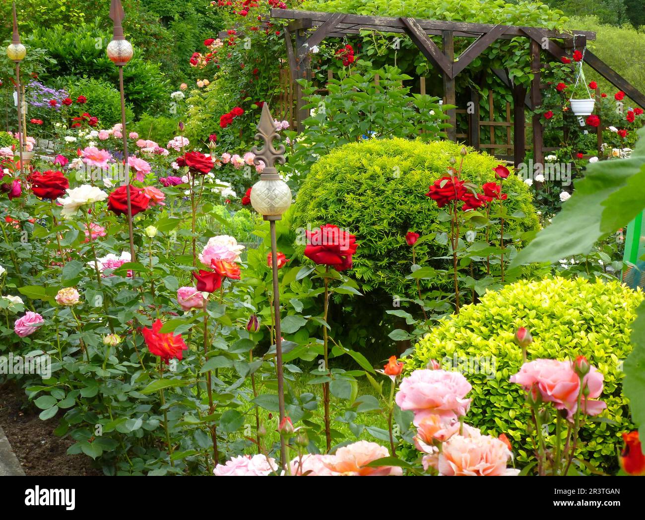 Rose pergola in garden hi-res stock photography and images - Alamy