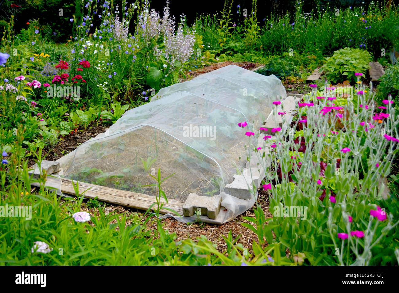 Outdoor frame hi-res stock photography and images - Alamy