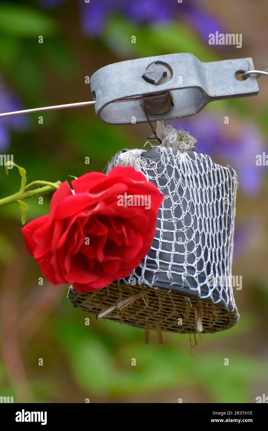 Suspended pot hi-res stock photography and images - Alamy