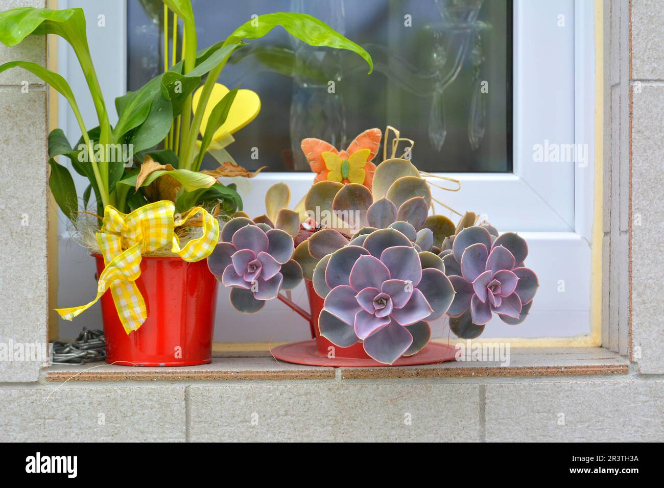 Potted plants at the window outside Stock Photo - Alamy