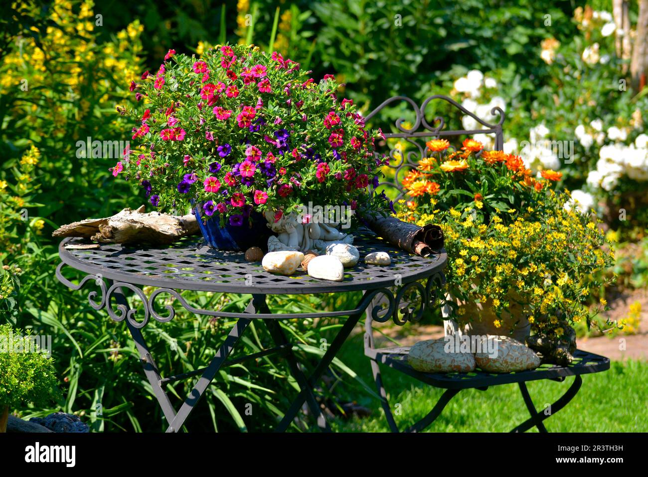 View table various flower hi-res stock photography and images - Alamy