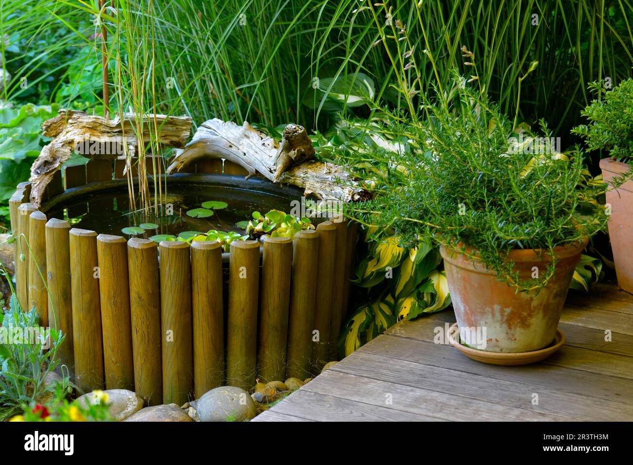 Mini exterior hi-res stock photography and images - Alamy