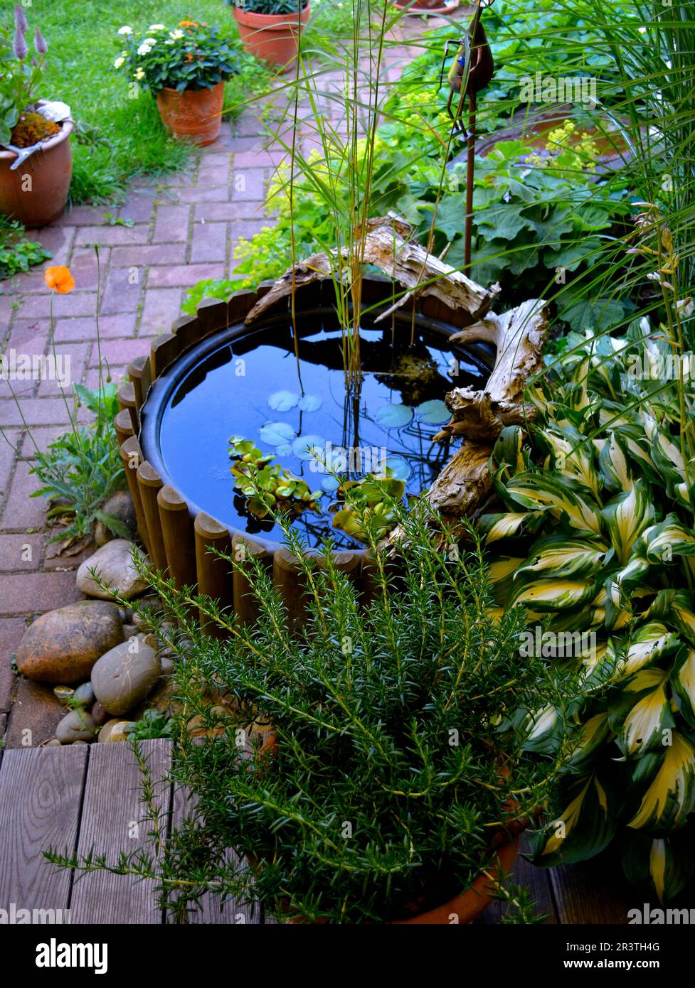 Small mini pond in the garden Stock Photo - Alamy